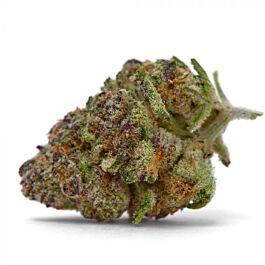 Weed World - Growers Choice - Purple Sunset Auto (Fem)