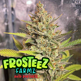 Weed World - Frosteez Farmz - Auto Pop Tartz (Feminized)