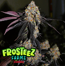 Weed World - Frosteez Farmz - Zangria (Feminized)