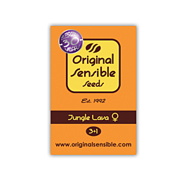 Weed World - Original Sensible Seeds - Jungle Lava (Feminized)