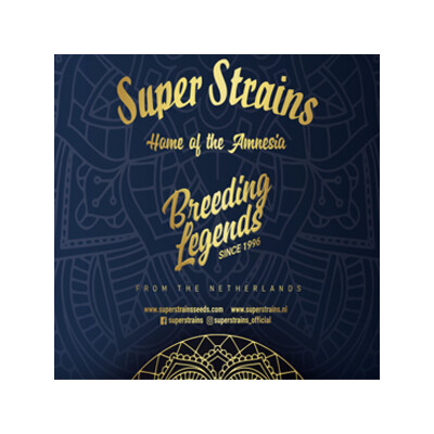 Weed World - Super Strains