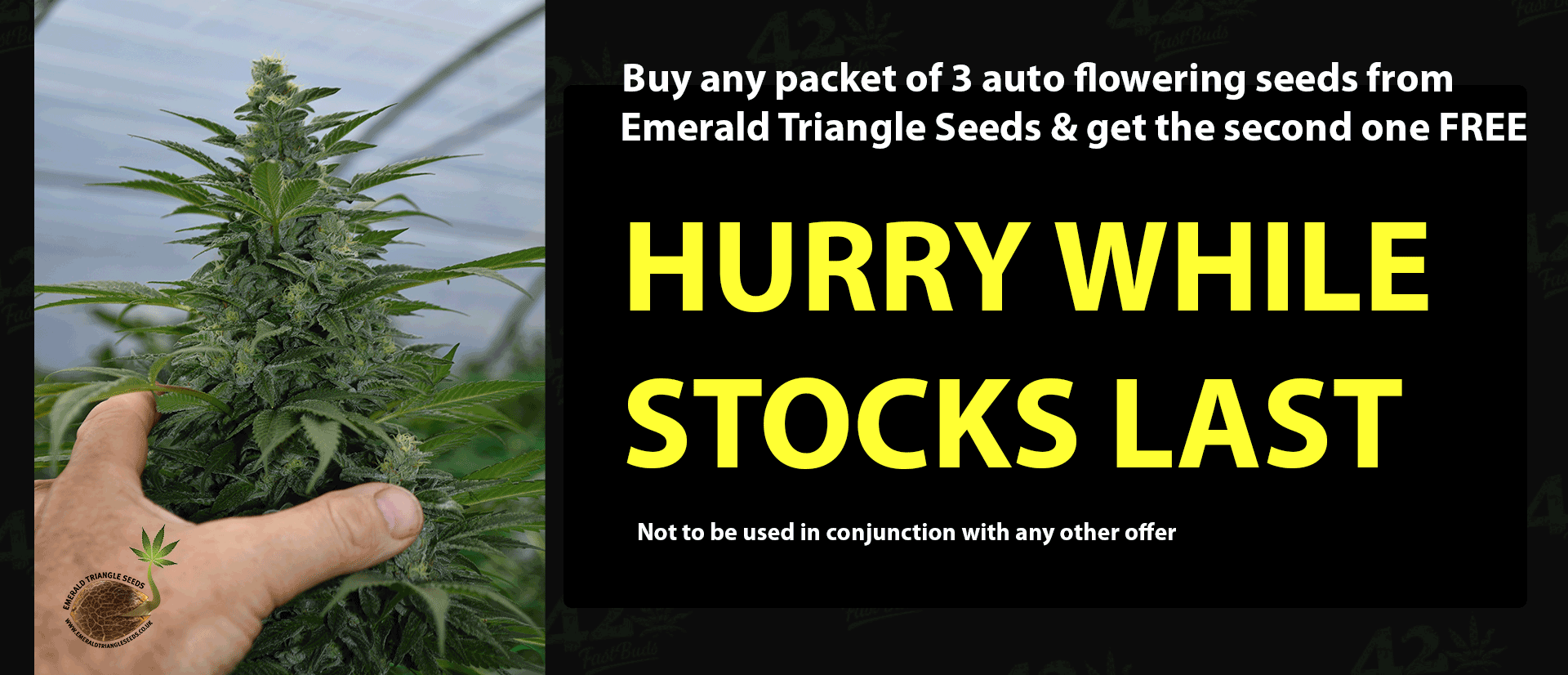 Weed World - Promotions page I Check for monthly give aways % off or ...